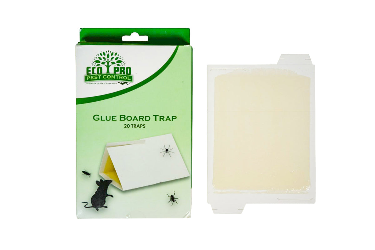 Insect Traps – Eco Pro Pest Control