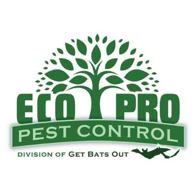 Insect Traps – Eco Pro Pest Control